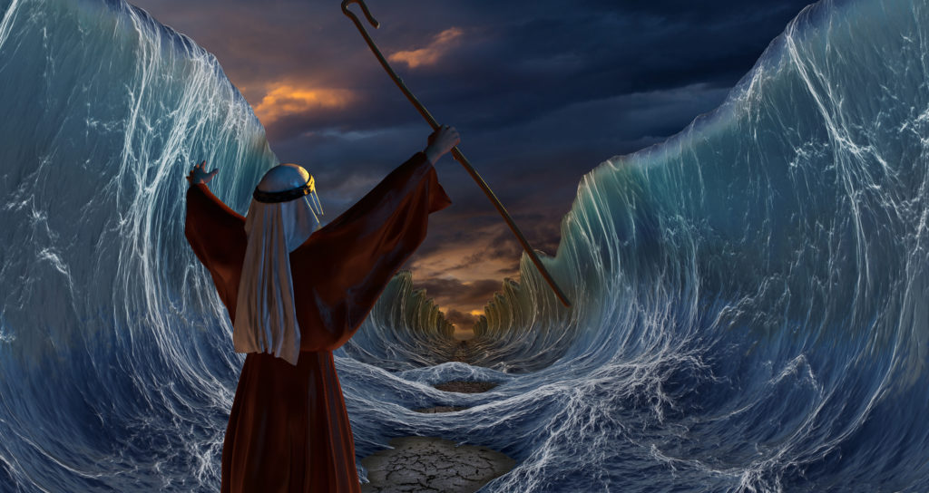 Islamic beliefs about prophets - Arab World Media