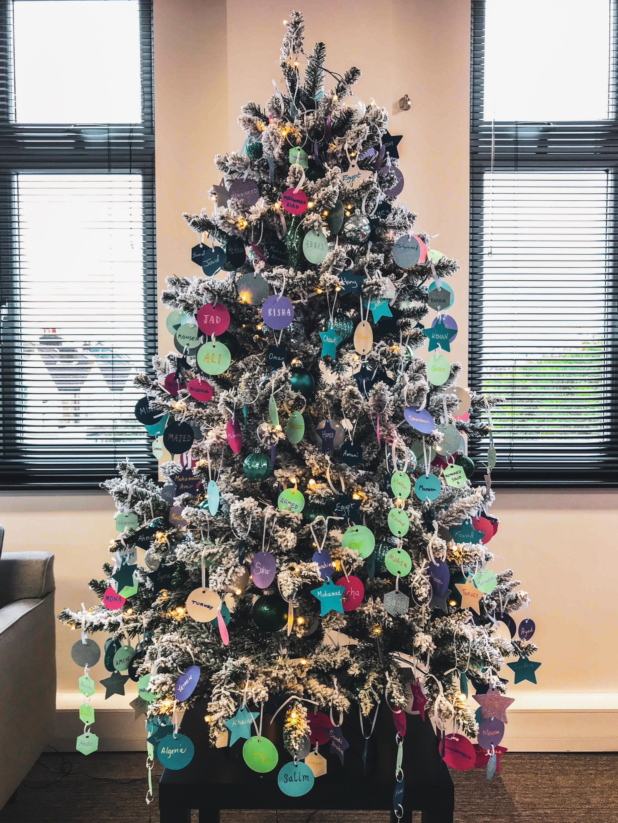 The Emmanuel Tree – Arab World Media